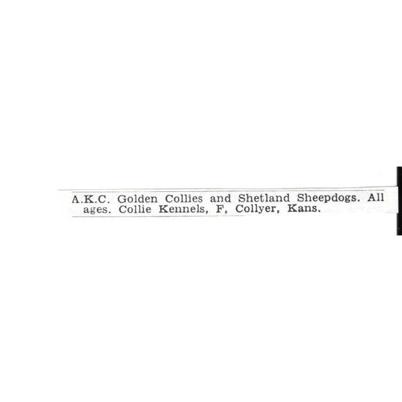 None and/or Unknown | Other | Collie Kennels Akc Golden Collies F ...